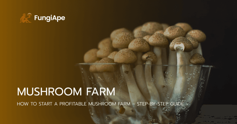 How to Start a Profitable Mushroom Farm in 2025 - Fungi Ape